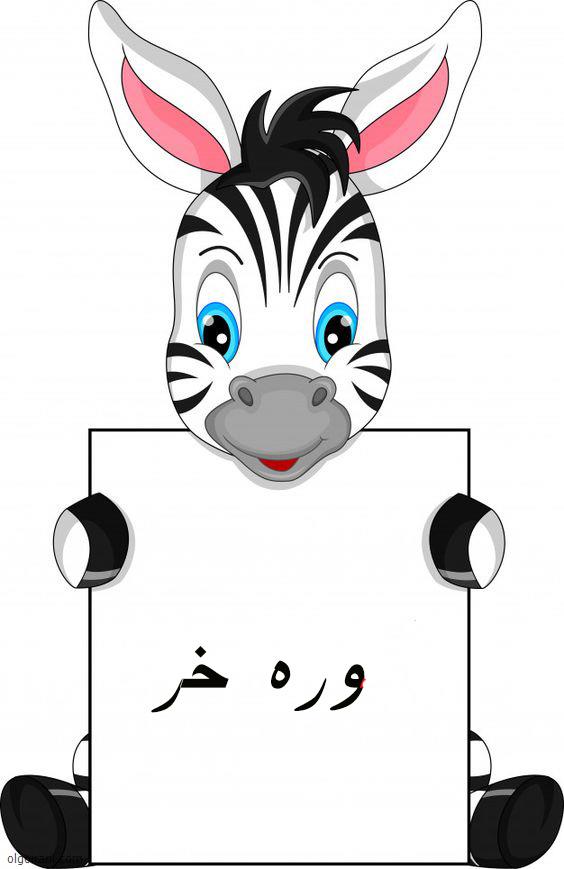 الگو ایرانی